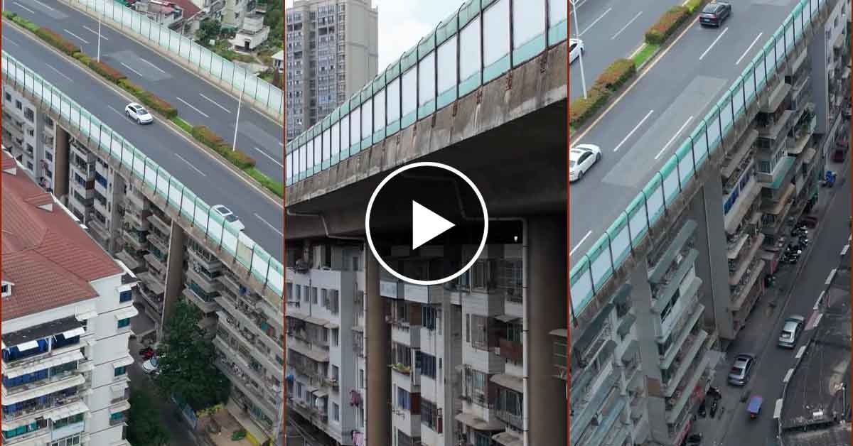 इथे इमारतींच्या छतावरून वेगाने धावतात गाड्या, लोकांची अजब जीवनशैली ...