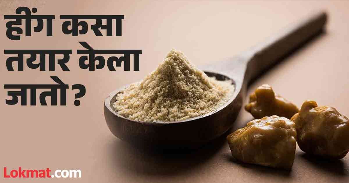 VIDEO : अनेक समस्यांवर रामबाण उपाय हींग कसा बनवला जातो, बघून व्हाल अवाक्... - Marathi News ...