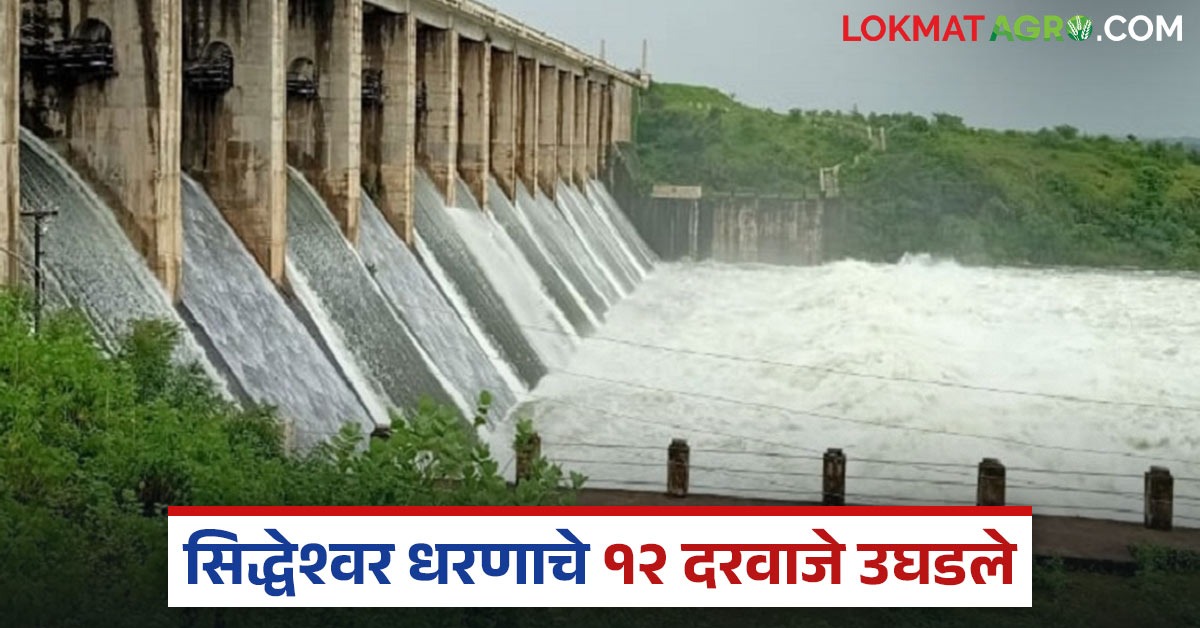 सिद्धेश्वर धरणाचे १२ दरवाजे उघडले; पूर्णा नदीपात्रात १३ हजार क्युसेक ...