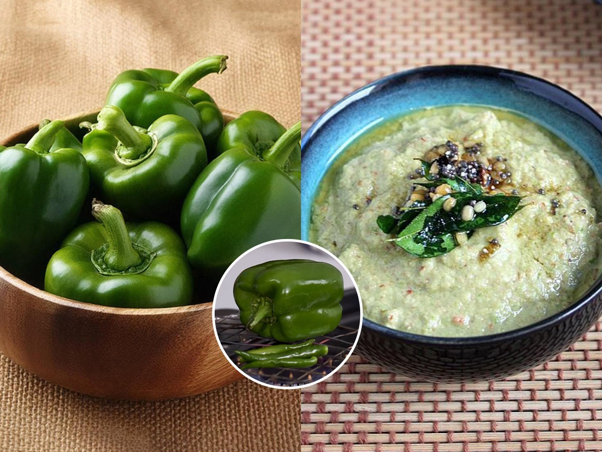 सिमला मिरची भाजून ‘अशी’ करा चटकमटक चटणी, मुलांच्या डब्यातही देता येईल ...