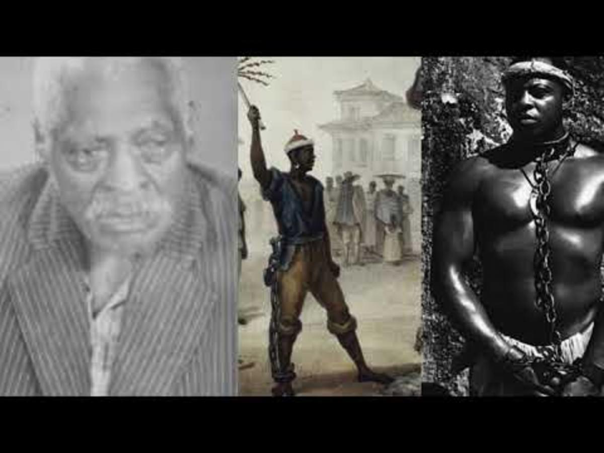 Pata Seca ज्याने गुलामी दरम्यान आपल्या मालकासाठी जन्माला घातली 200 ...