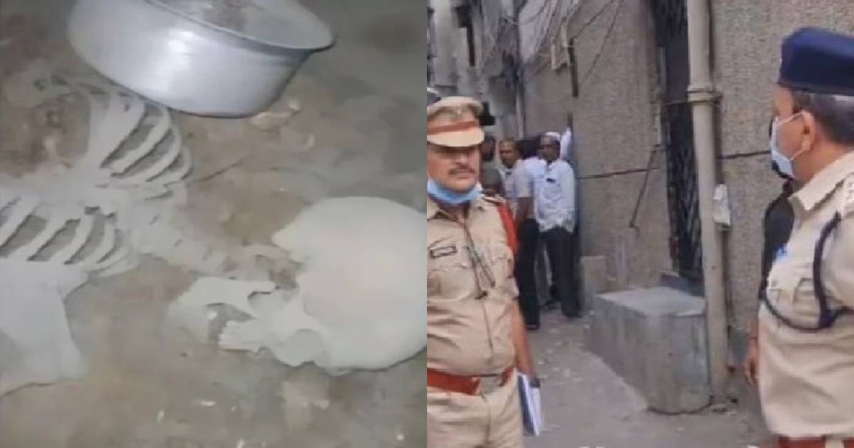 धक्कादायक! हरवलेला क्रिकेटचा बॉल शोधत होता, बंद घरात मानवी सांगाडा ...