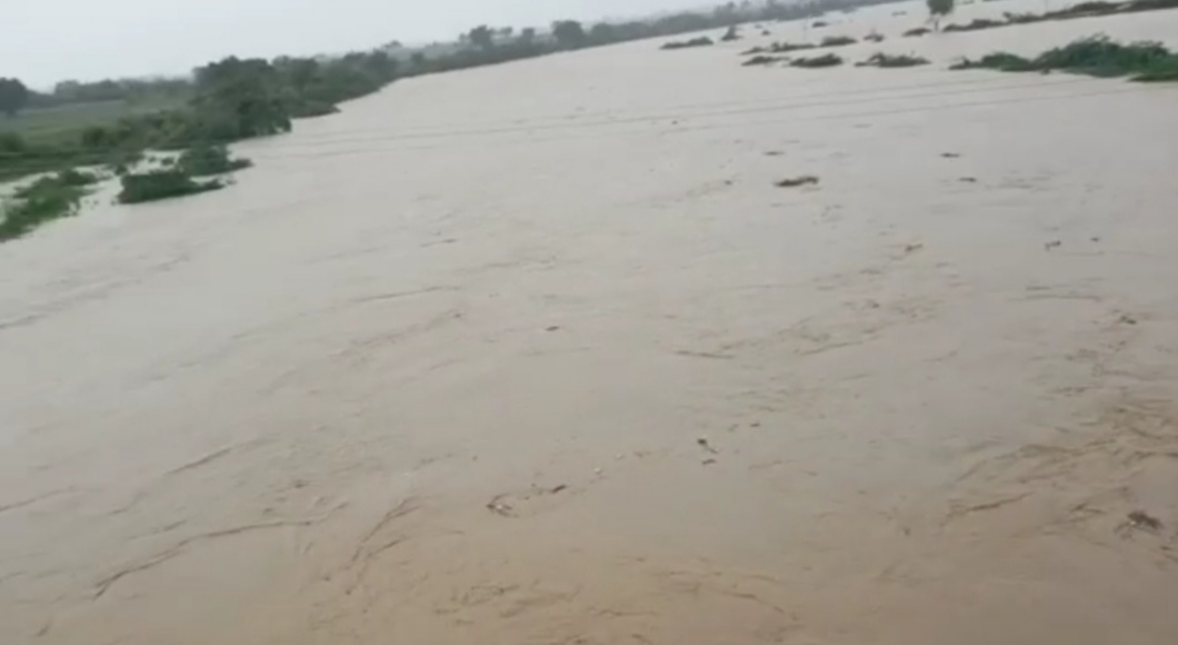 मूर्तिजापूर तालुक्यात शेकडो हेक्टर जमीन पाण्याखाली; अनेक गावांचा संपर्क ...