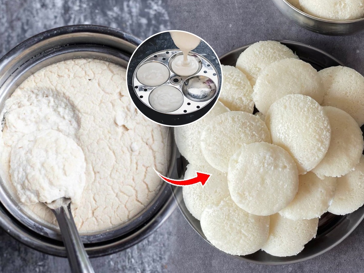 इडली अजिबात फुलत नाही-घट्ट दगडासारखी होते? ‘असे’ घ्या डाळतांदळाचे अचूक ...