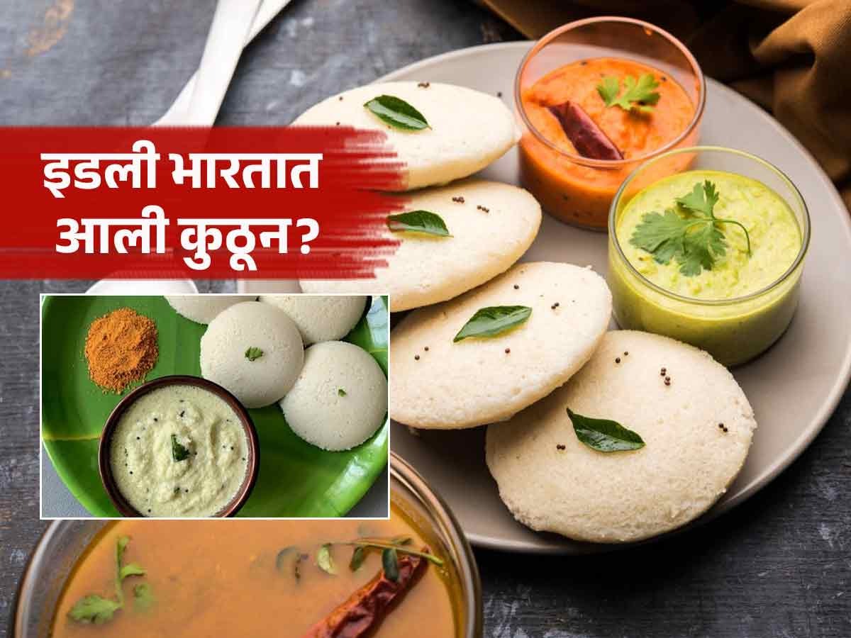 इडली नेमकी आली कुठून? कुणी पहिल्यांदा केली असेल मस्त मऊ वाफाळती इडली ...
