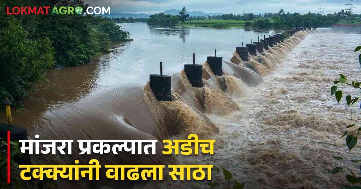 Manjara Dam Water Update : तीन तासांत मांजरा प्रकल्पात अडीच टक्क्यांनी ...