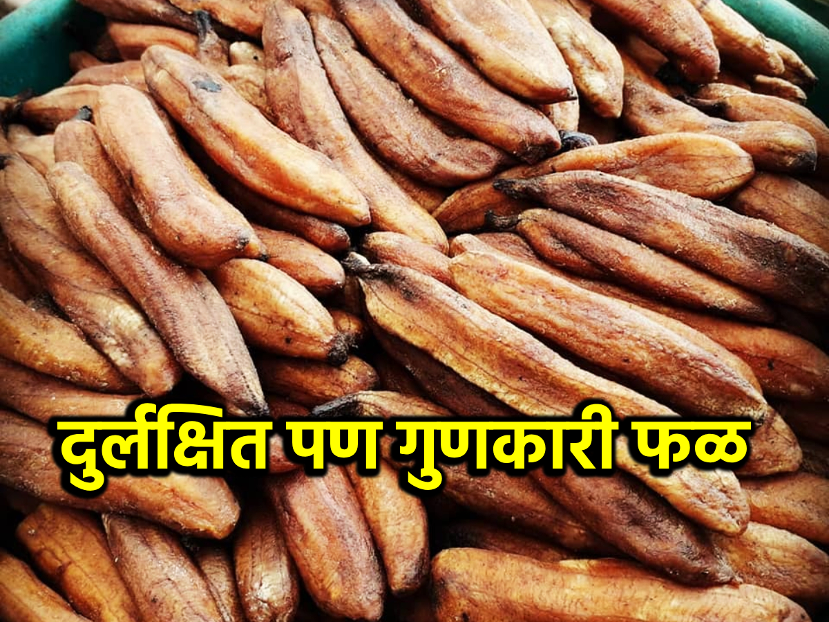 Jara Hatke: सुकवलेलं केळं म्हणजे 'सुपरफूड'च! एक 'सुकेळं' करतं झटक्यात ...