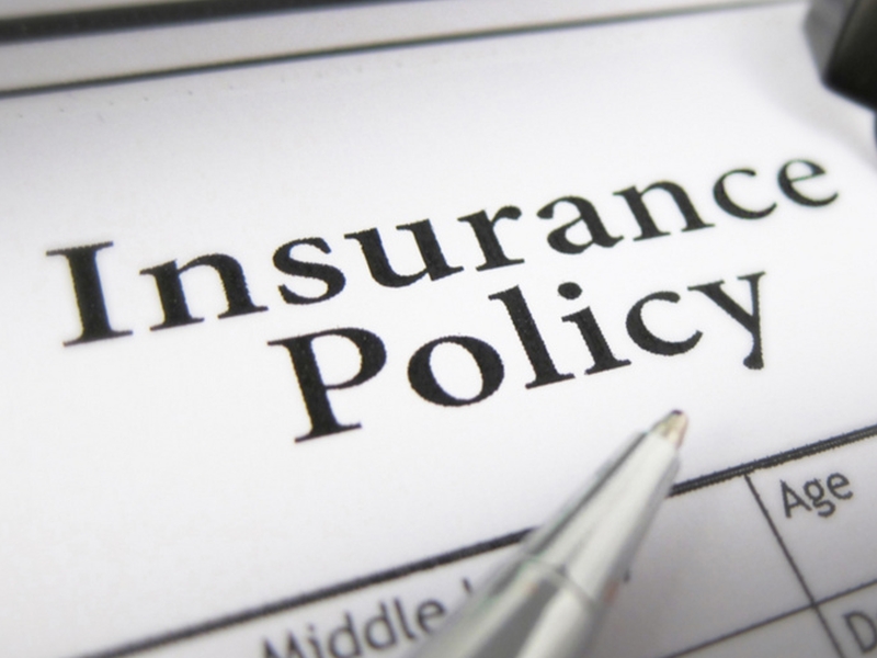 जीवलग मित्रांचा उतरवा विमा, कंपन्यांची भन्नाट आयडिया | Best Friends ...