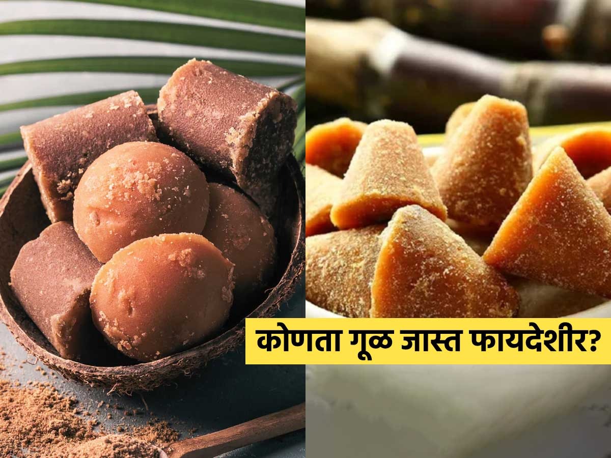 काळा की पिवळा, आरोग्यासाठी कोणता गूळ असतो बेस्ट? काळ्या-पिवळ्या गुळात ...