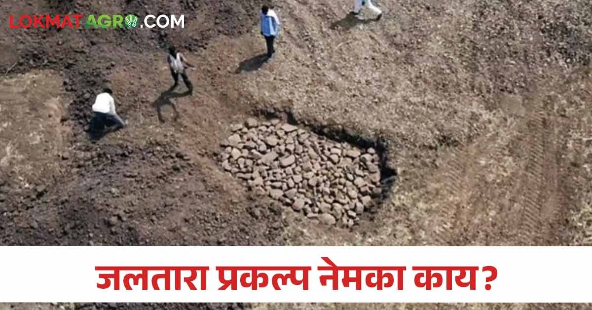 Jaltara Project : शेतकऱ्यांना दुष्काळमुक्त करणारा जलतारा प्रकल्प नेमका ...