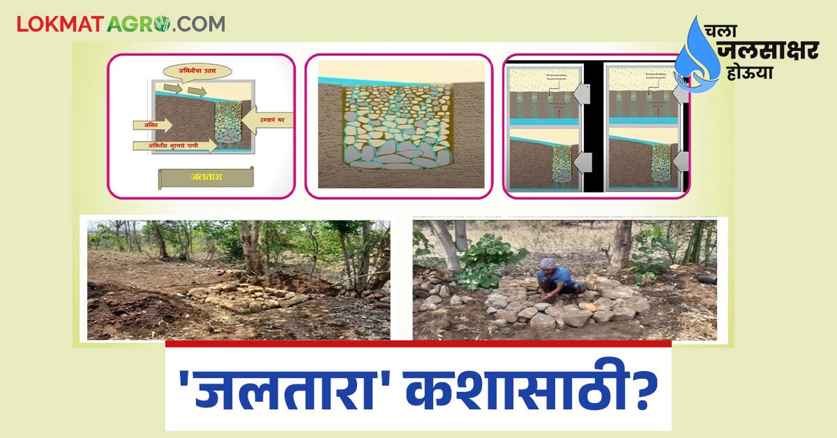 Jaltara : मनरेगातुन जलतारा खड्डा कसा आणि कुठे काढावा? किती मिळतंय ...