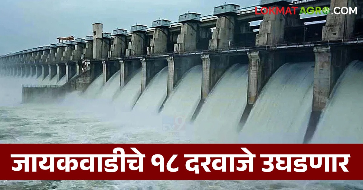 latest news Jayakwadi Dam Water Level: Jayakwadi Dam is full to the brim