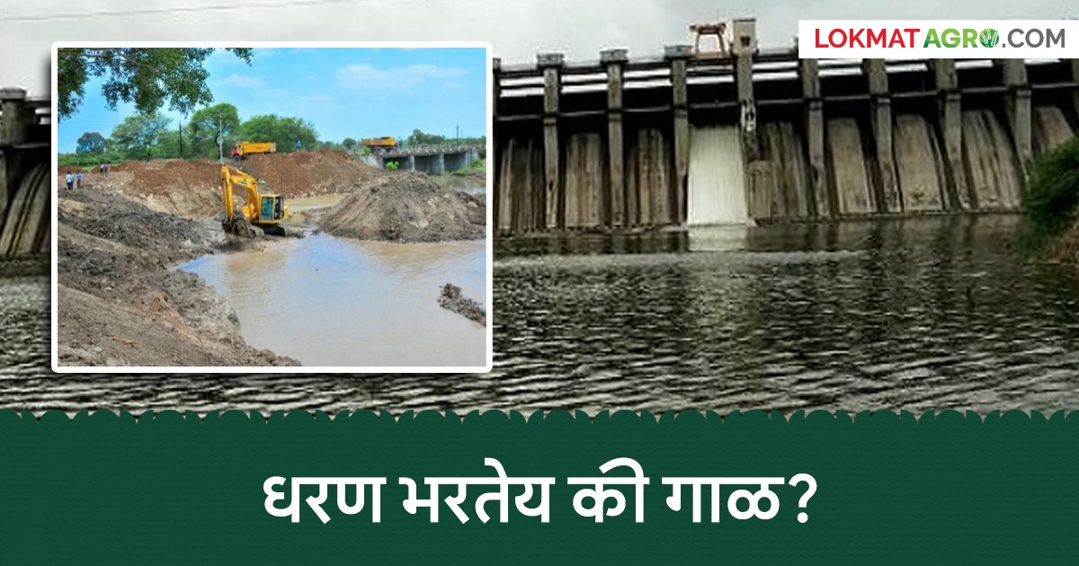 latest news Jayakwadi Dam: Is the dam filling up or silting up? Big ...