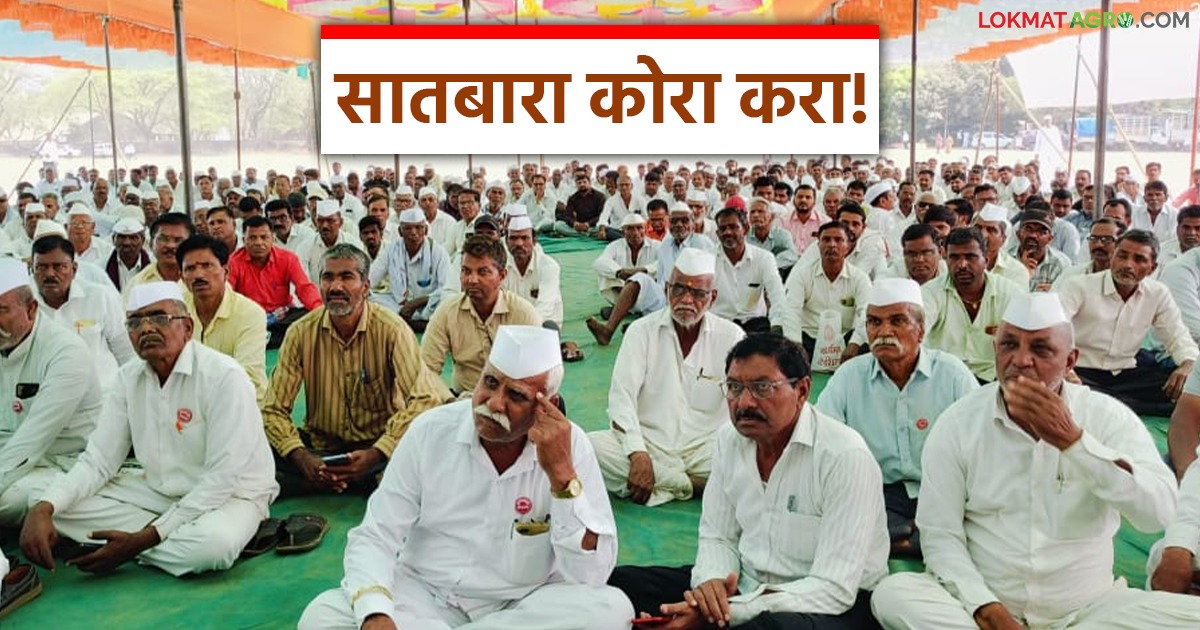 Agriculture News : कर्ज माफ करा, सातबारा कोरा करा, नाशिकच्या ...