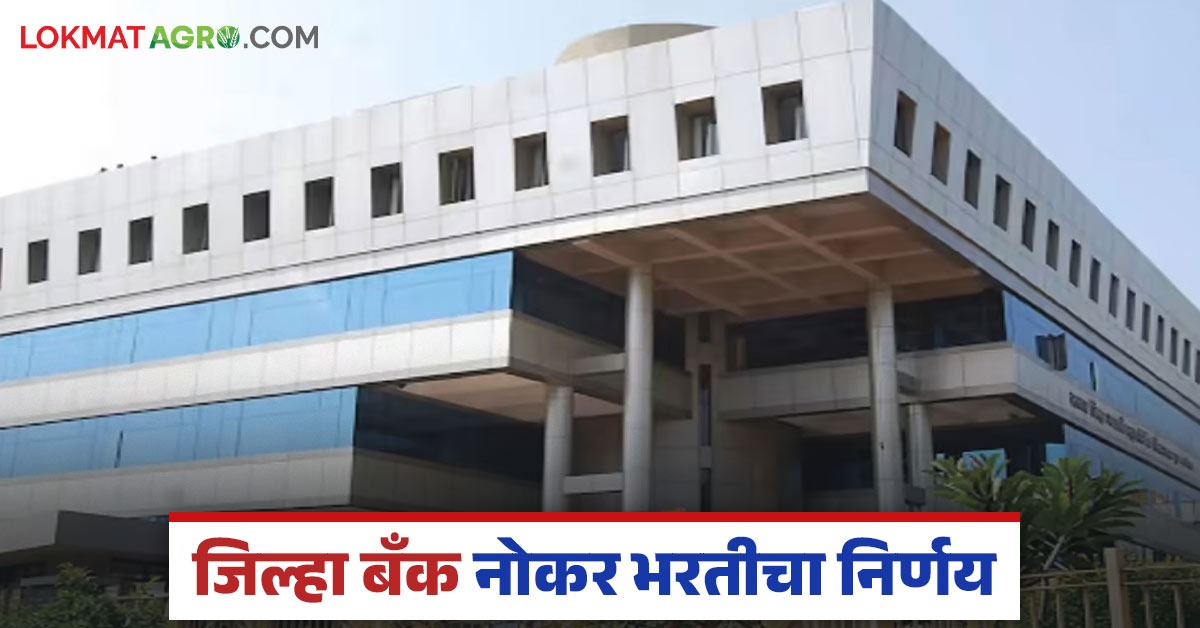 राज्यातील जिल्हा मध्यवर्ती बँकांतील नोकर भरती 'त्या' तीन कंपन्यांकडून ...