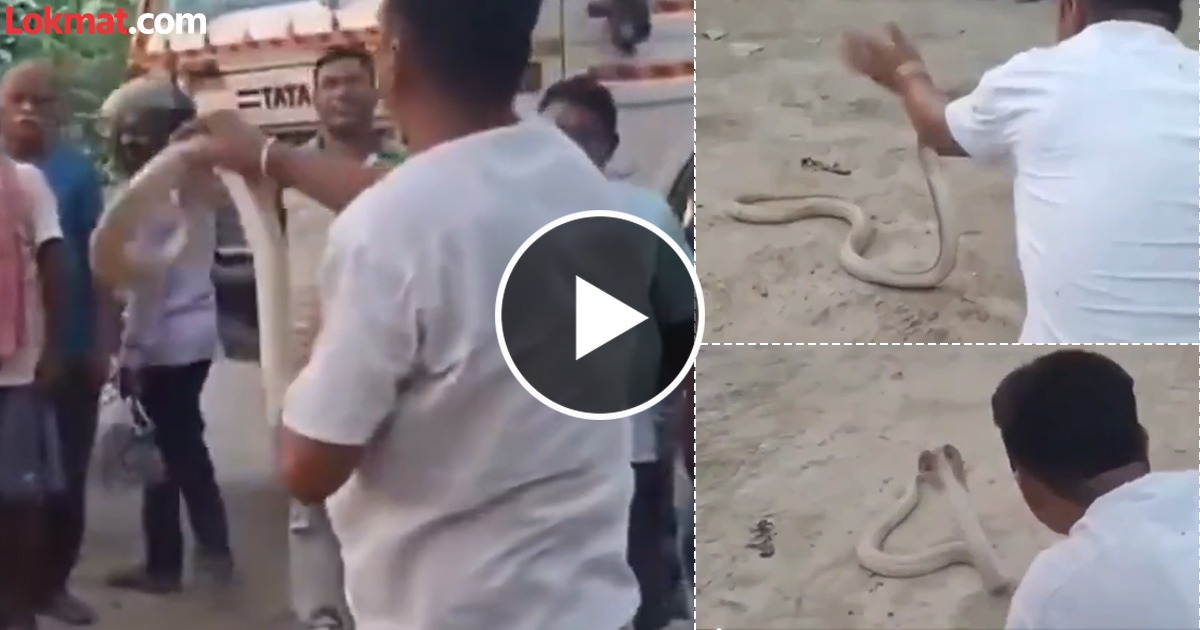 सर्पमित्राला मृत्यू दंश; नागाला वाचवायला गेला आणि स्वतःचाच जीव गमावला, व्हिडीओ व्हायरल - Marathi ...