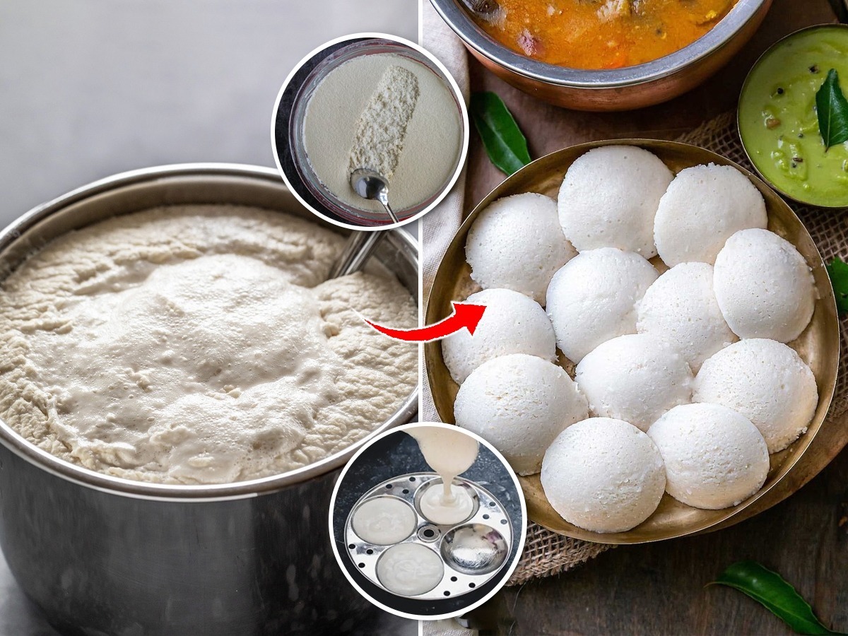 डाळ-तांदूळ वाटताना 'हा' पदार्थ मिसळा; थंडीतही दुप्पट फुलेल इडलीचं पीठ ...