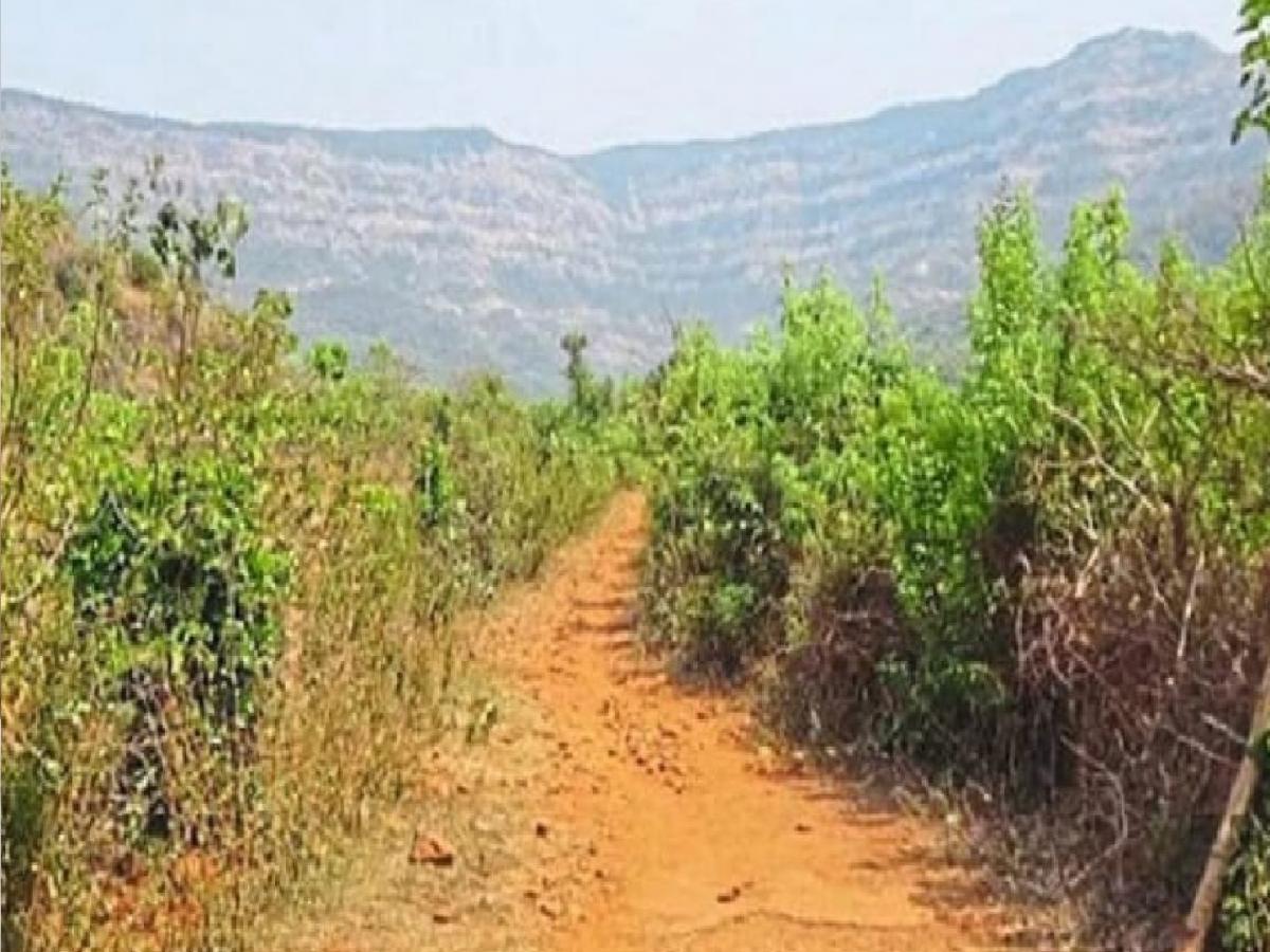 राजापूर काजिर्डामार्गे कोल्हापूर घाटरस्त्याचा आराखडा तयार, १ कोटी रुपये ...