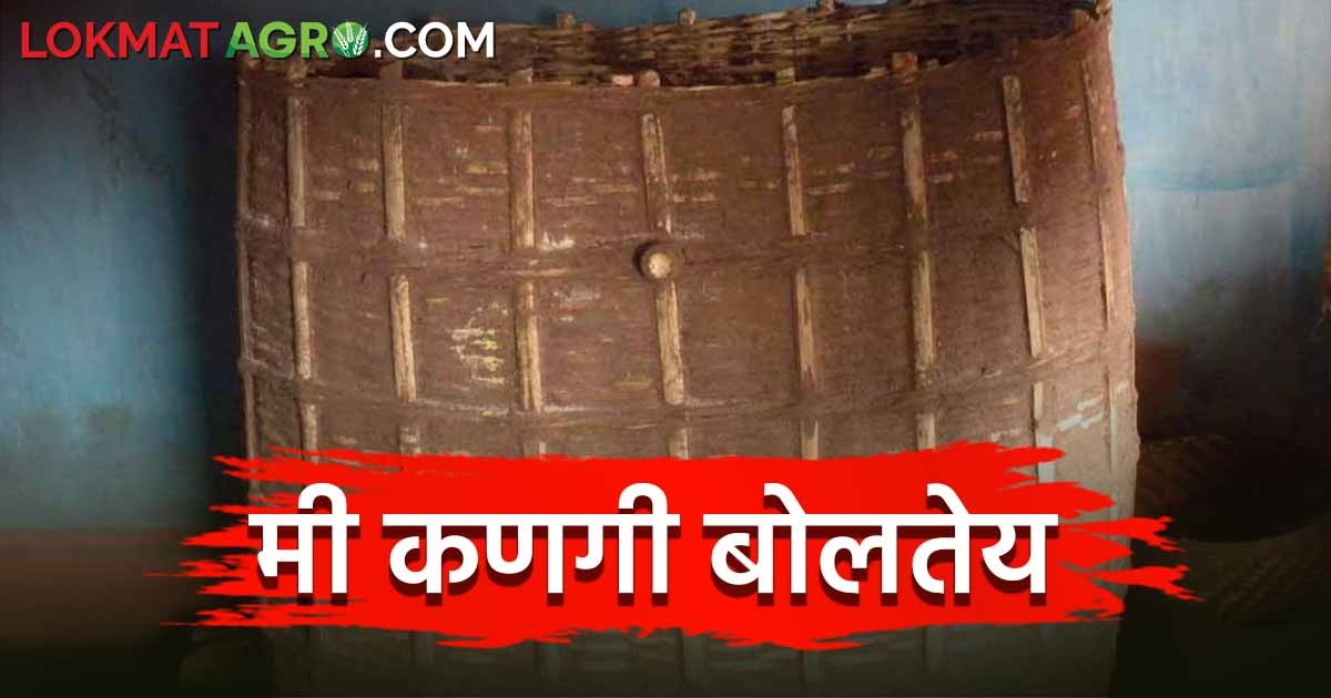 धान्य साठविण्यासाठीची पारंपारिक पद्धती | Traditional methods of food ...