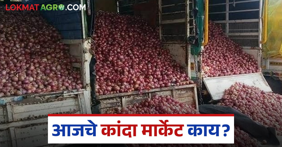 Kanda Market : कांद्याला कुठल्या जिल्ह्यात सर्वात कमी दर मिळतोय, वाचा ...