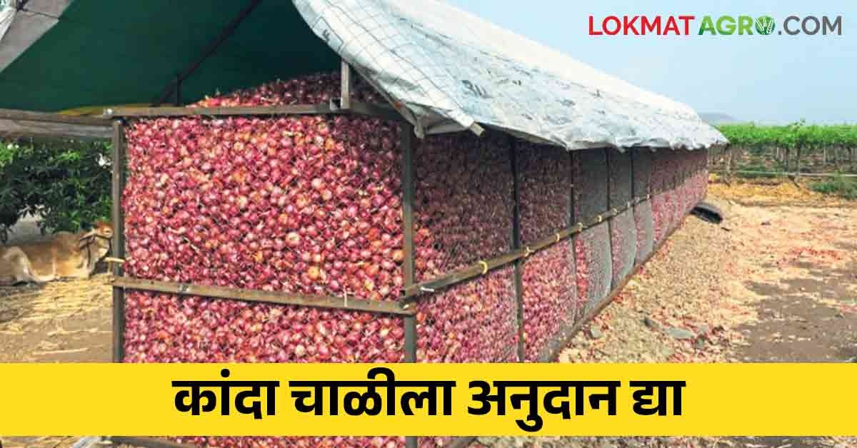 Kanda Mahabank : खर्चीक कांदा महाबँकेपेक्षा कांदा चाळीलाच अनुदान द्या ...
