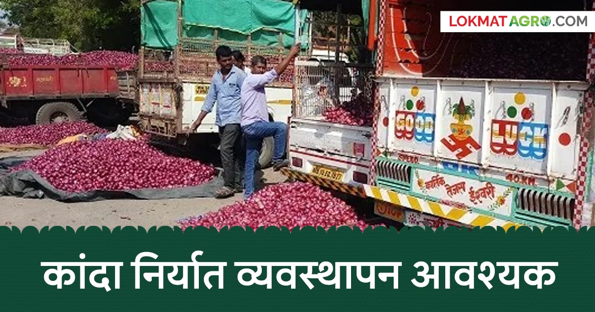 Kanda Niryat : कांदा दर तेजीत; निर्यातबंदीऐवजी व्यवस्थापन धोरणाची मागणी ...