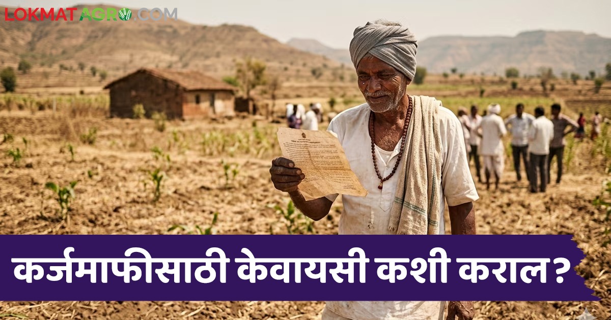 कर्जमाफीसाठी आधार प्रमाणीकरण कसे करावे, प्रक्रिया काय असते? दोन ...