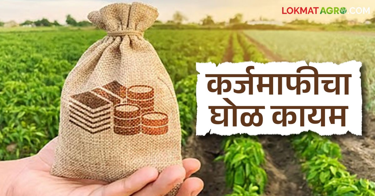 latest news Pik Karja: Farmers in trouble! No loan waiver, fertilizer ...