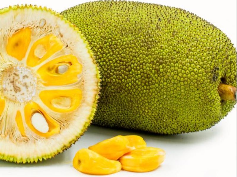 फणसाचे हे आरोग्यदायी फायदे माहीत आहेत का? - Marathi News | health ...