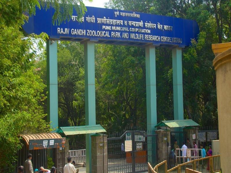 कोरोनाच्या पार्श्वभूमीवर कात्रज प्राणी संग्रहालयासह पुण्यातील ४५० ...