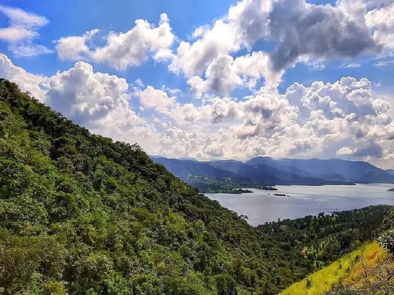 कोयना अभयारण्यावर ६५ प्राण्यांच्या जाती; झुलॉजिकल सर्व्हे ऑफ ...