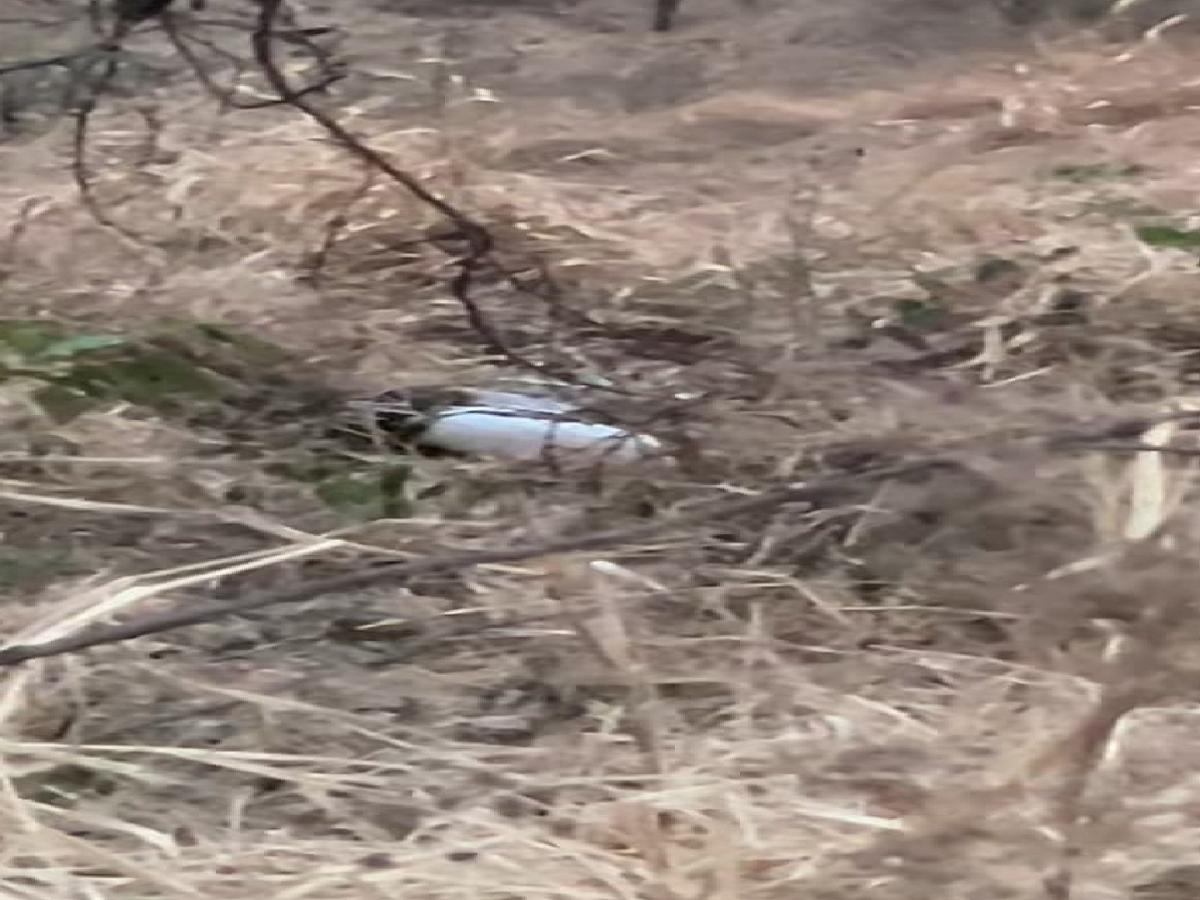 Satara: केळघर घाटातील दरीत दुचाकी कोसळली; महिला, पुरुष गायब Satara ...