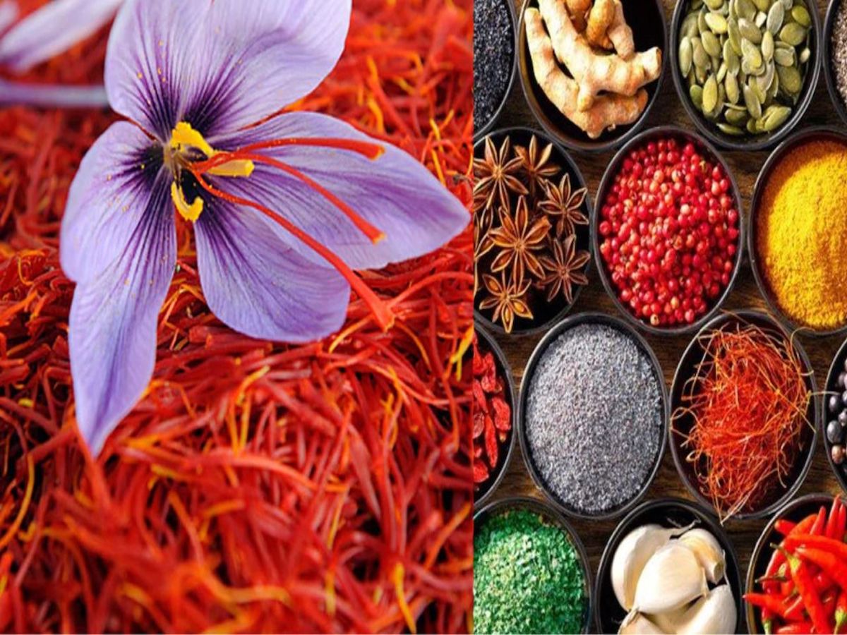 ‘या’ मसाल्यापुढे सोनं-चांदीही वाटेल स्वस्त, १ किलोसाठी वापरली जातात दीड ...