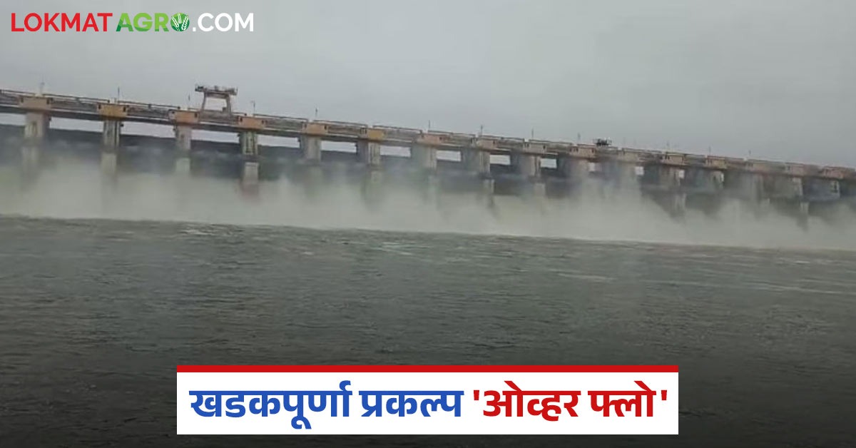 latest news Khadakpurna Dam Water: Khadakpurna project on the verge of ...