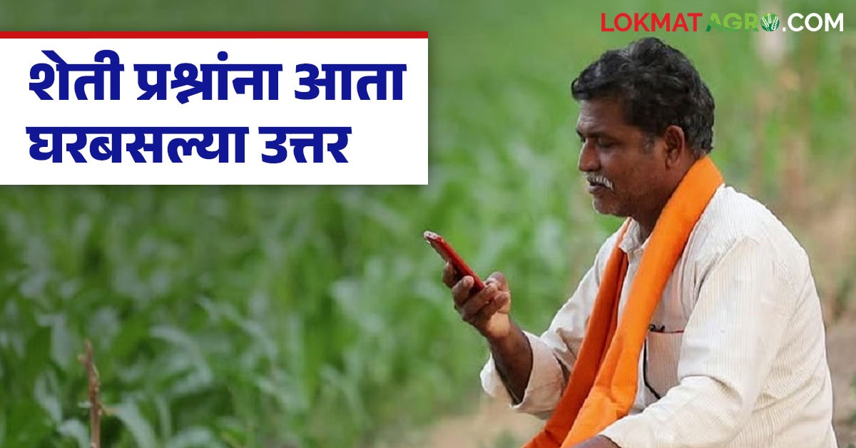 latest news Kisan Call Center: Farming problem? Make a call; Now you ...