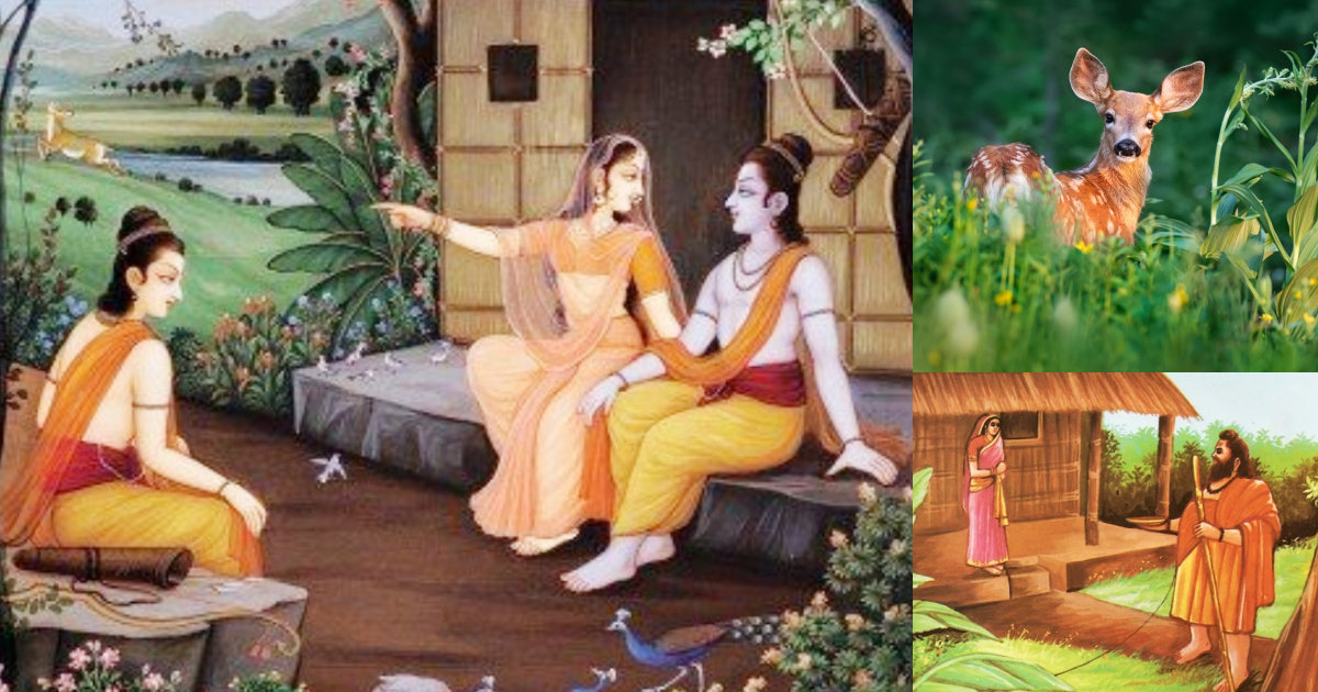 Ramayana: सीतेला सोन्याच्या हरणाची भुरळ पडली नसती, तर रावण सीतेचे अपहरण करू शकला नसता; पण ...