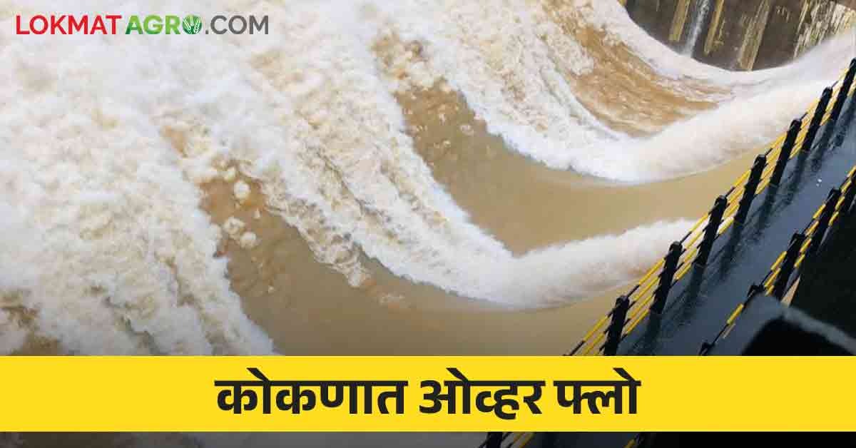 कोकणात ही धरणे भरली १०० टक्के.. वाचा सविस्तर | This dam is 100 percent ...