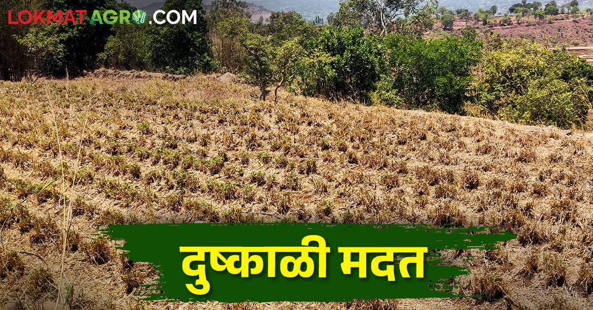 कोल्हापूर जिल्ह्यात या तालुक्यातील शेतकऱ्यांना मिळणार ११.६९ कोटींची ...