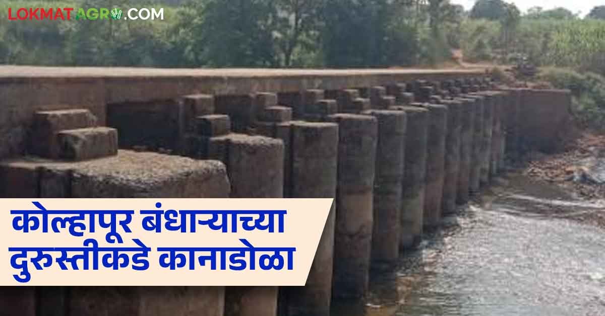 How many hectares of area irrigated in yavatmal using Kolhapuri dam
