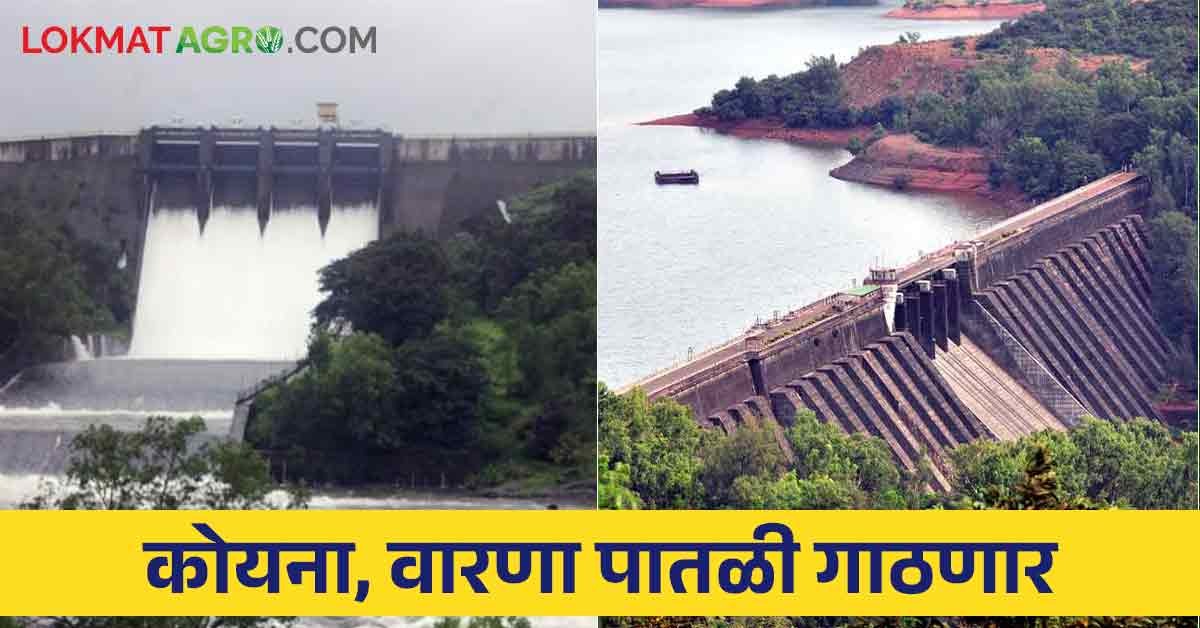 Warna & Koyna Dam Water Level: वारणा व कोयना धरणांतून विसर्ग सुरू ...