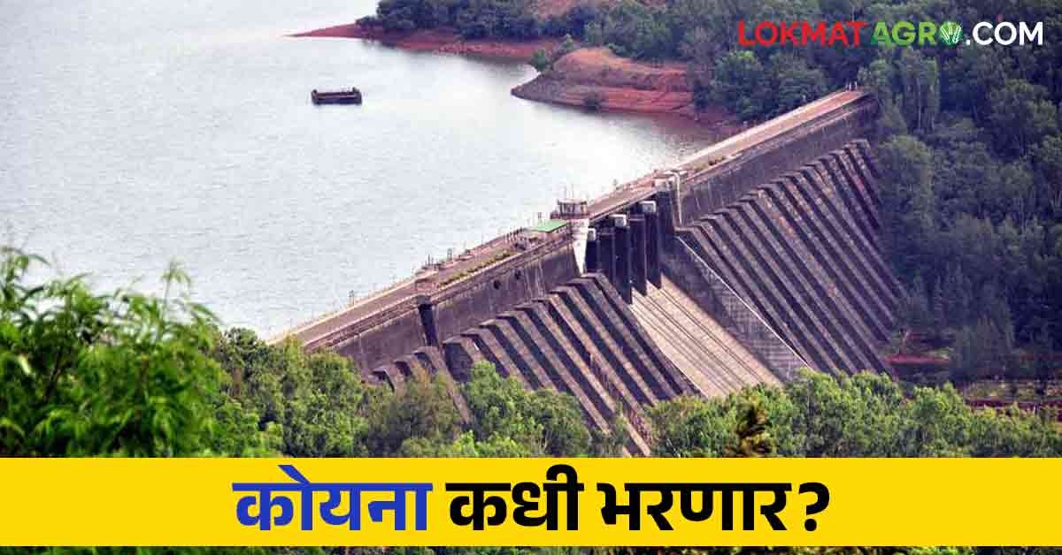 Koyna Dam Water Level : कोयना धरण भरण्यासाठी अजून किती पाण्याची गरज ...