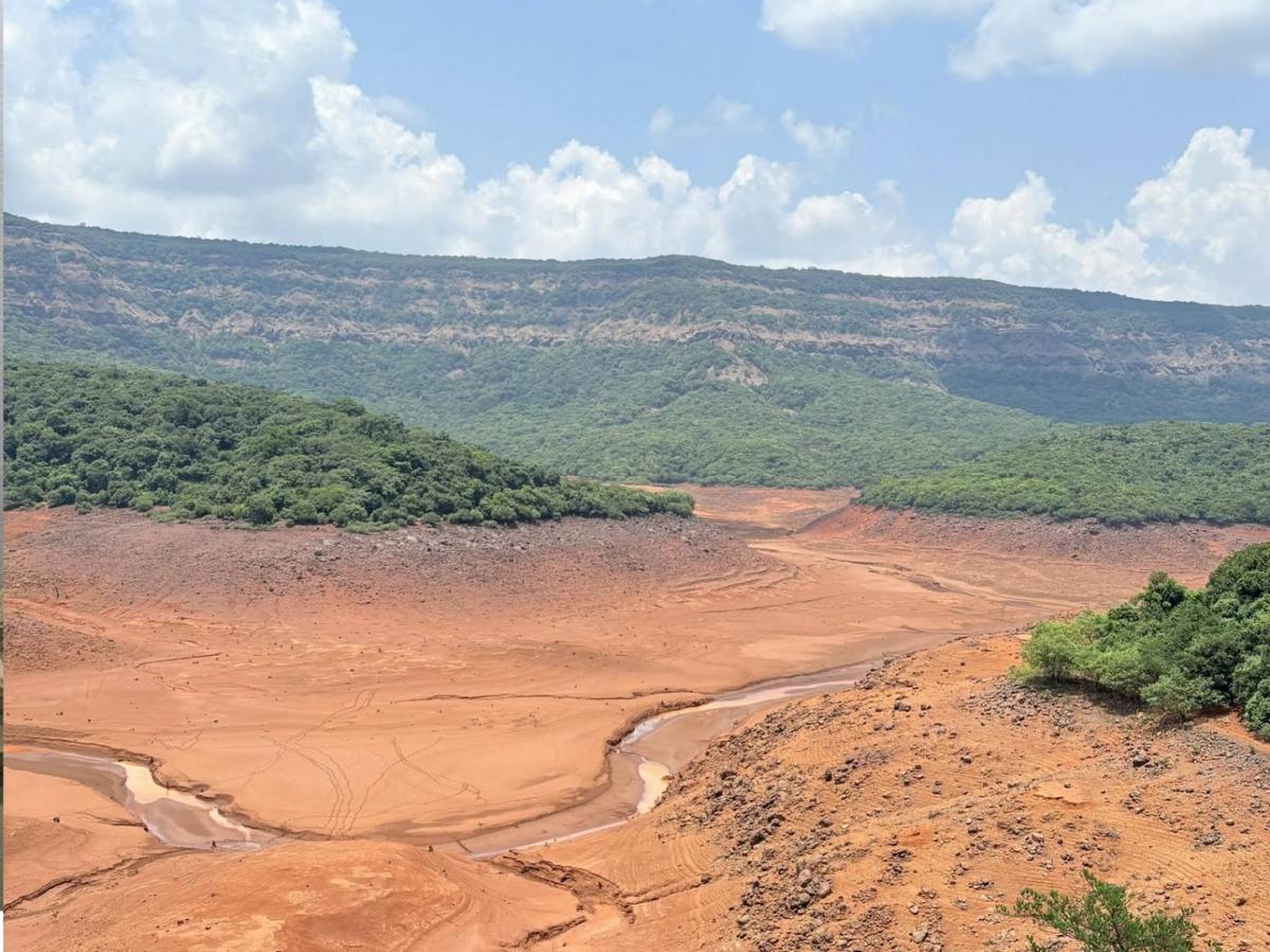 Satara News: मृदा धूप अन् अतिवृष्टीचा फटका; कोयना धरणात पाणी कमी ...