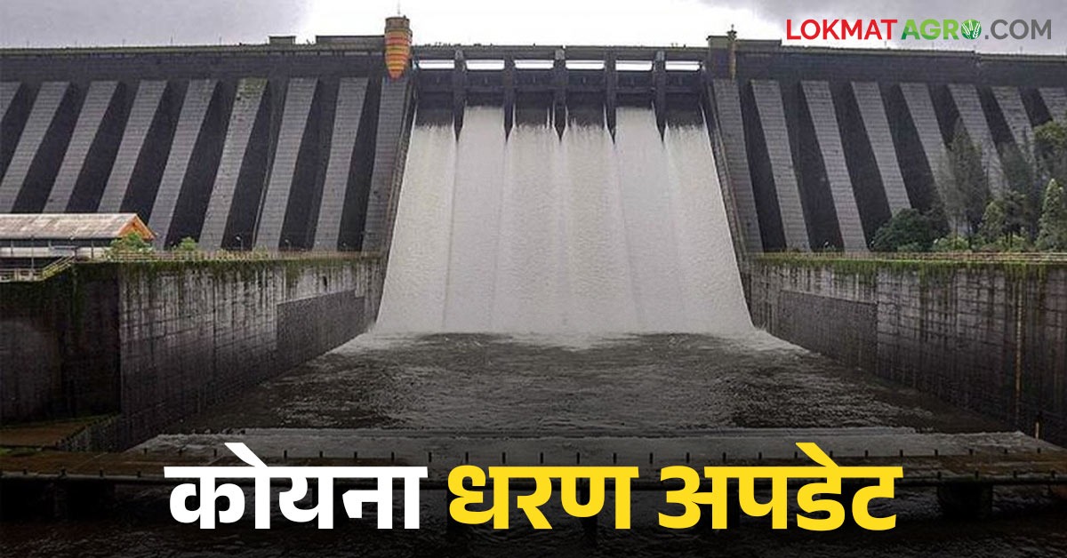 Koyna Dam Water Update : कोयना धरण क्षेत्रात धुवाधार पाऊस; धरणाचे सहा ...