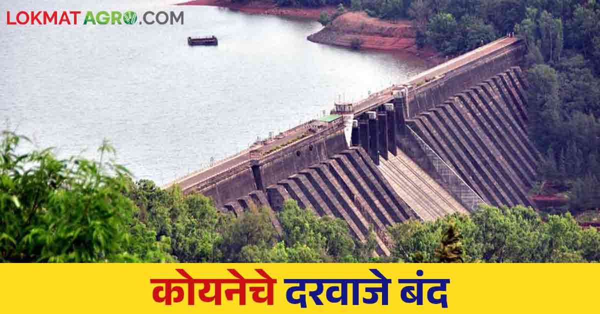 Koyna Dam : कोयना धरणाचे दरवाजे बंद धरणात किती टीएमसी पाणीसाठा | Koyna ...
