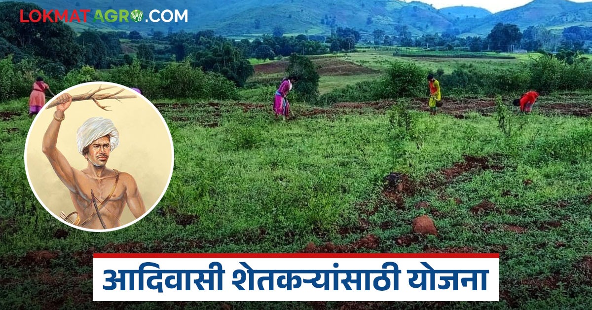 नवीन विहिरीपासून ते विविध अवजारांपर्यंत अनुदान, काय आहे बिरसा मुंडा ...