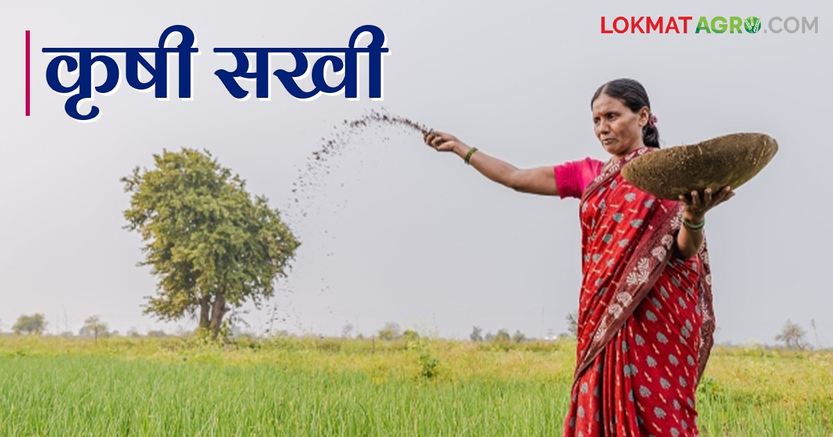 Krishi Sakhi helps National Natural Farming Campaign Scheme for farmer