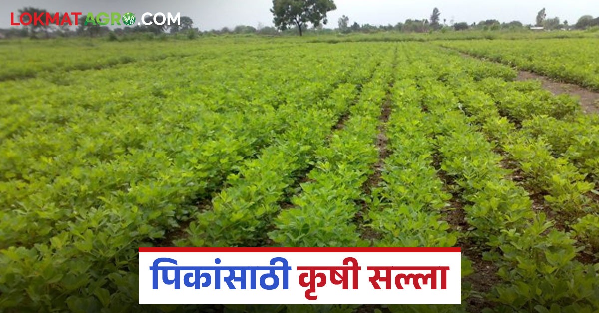 latest news Krushi Salla for farmers