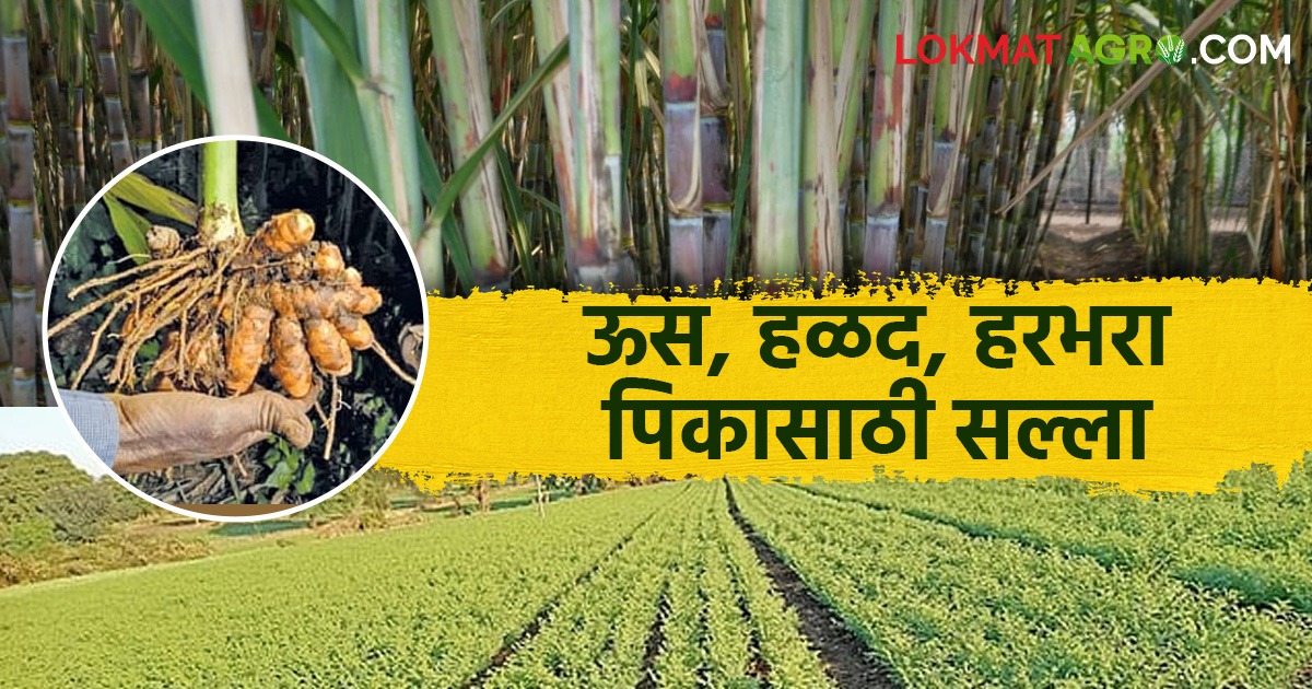 Krushi salla for crops and animals