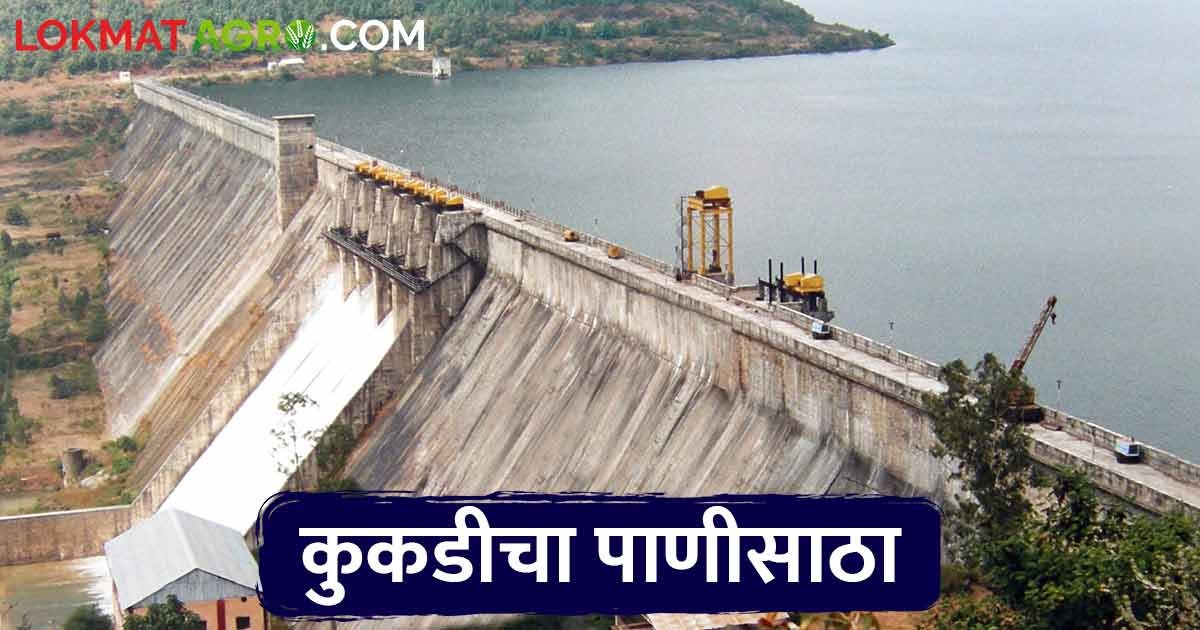 कुकडी प्रकल्पातील धरणांमध्ये पाणीसाठा वाढला? कोणत्या धरणात किती पाणी ...