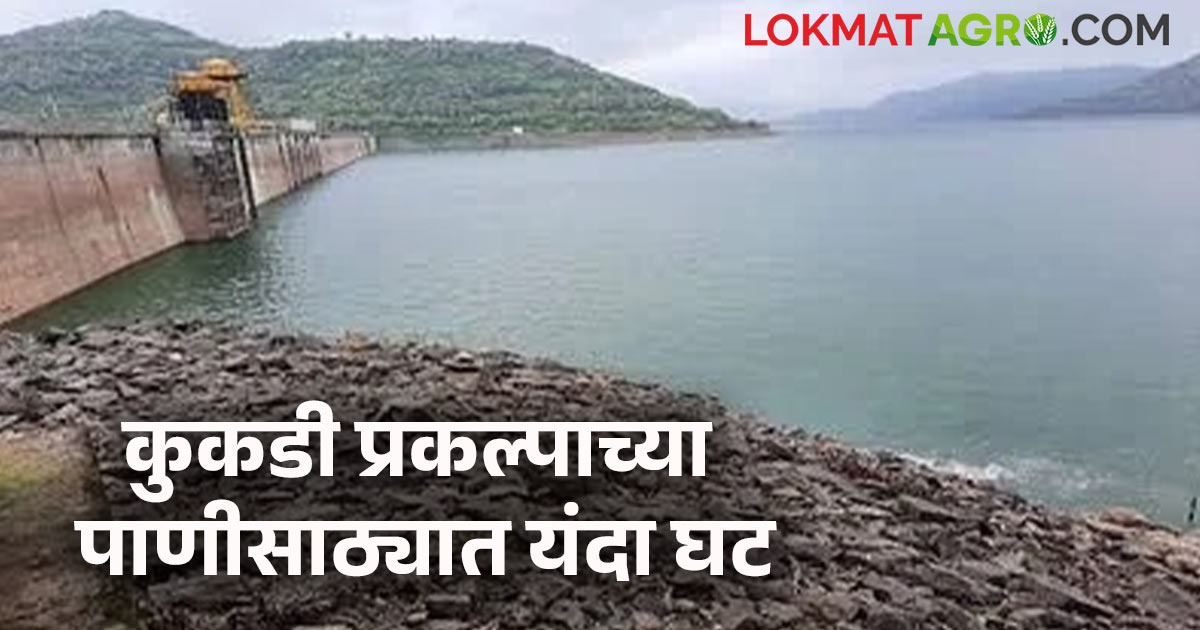 कुकडी प्रकल्पात १९.०८ टक्के पाणीसाठा शिल्लक; गतवर्षीच्या तुलनेत यंदा ३ ...